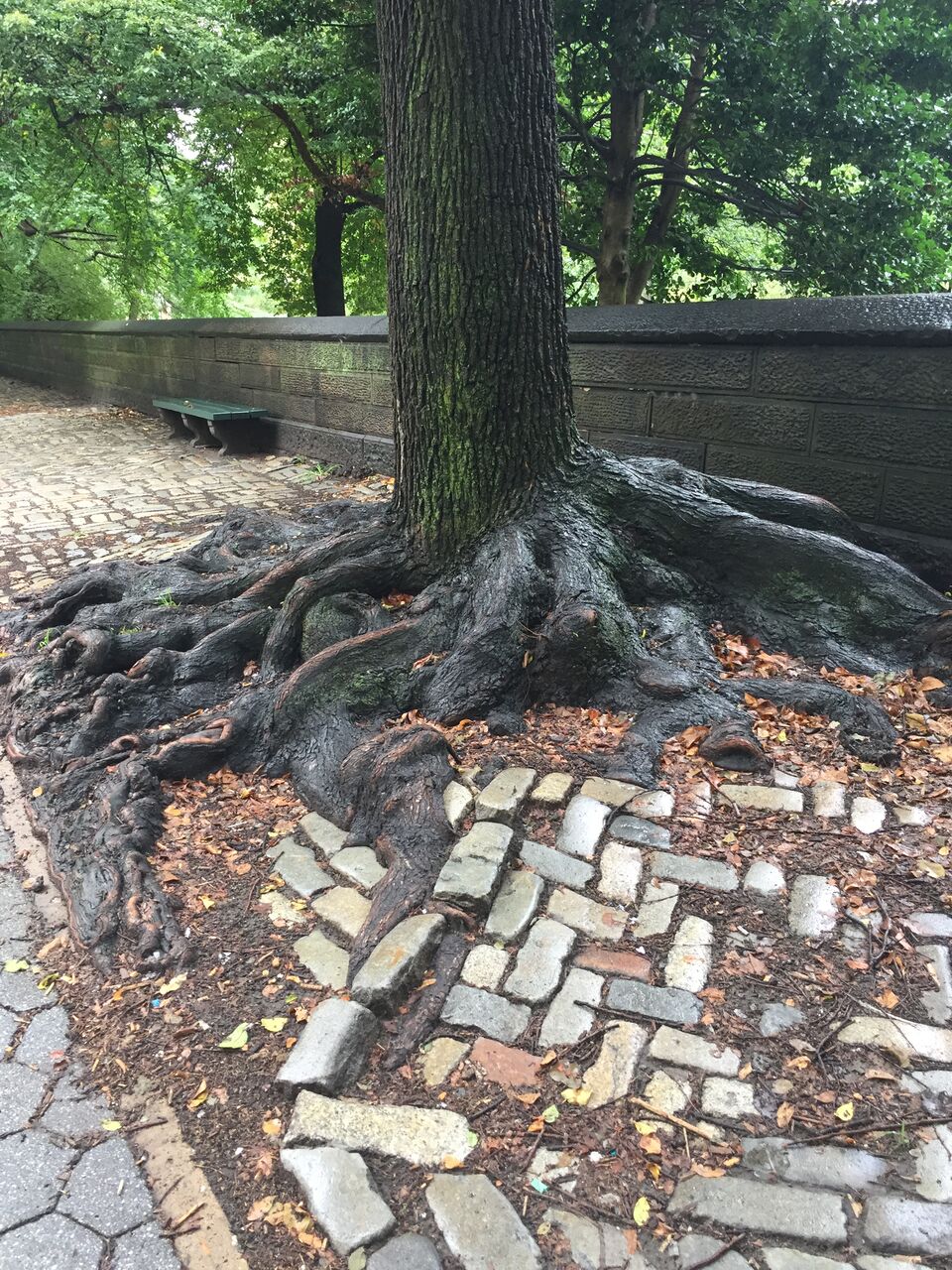 Sometimes we just outgrow our space - connect2collaborate